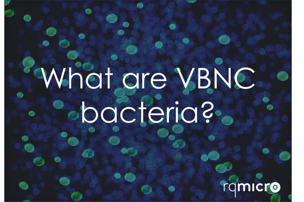 How can Viable but non-culturable bacteria be detected? | rqmicro